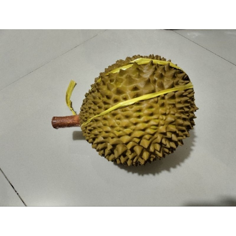Durian TOY RUBBER durian FRUIT SIMILAR TO THE ORIGINAL / rubber durian ...