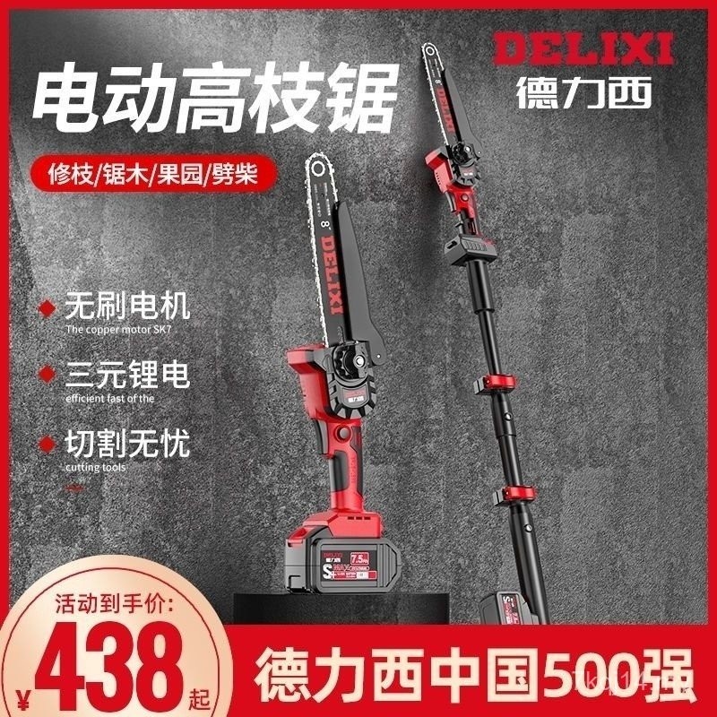 Delixi Electric Chainsaw High Branch Saw Lithium Electric Saw ...