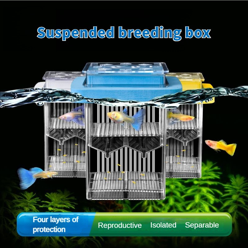 Fish Breeding Box Fish Tank Isolation Box Floating Juvenile Fish ...