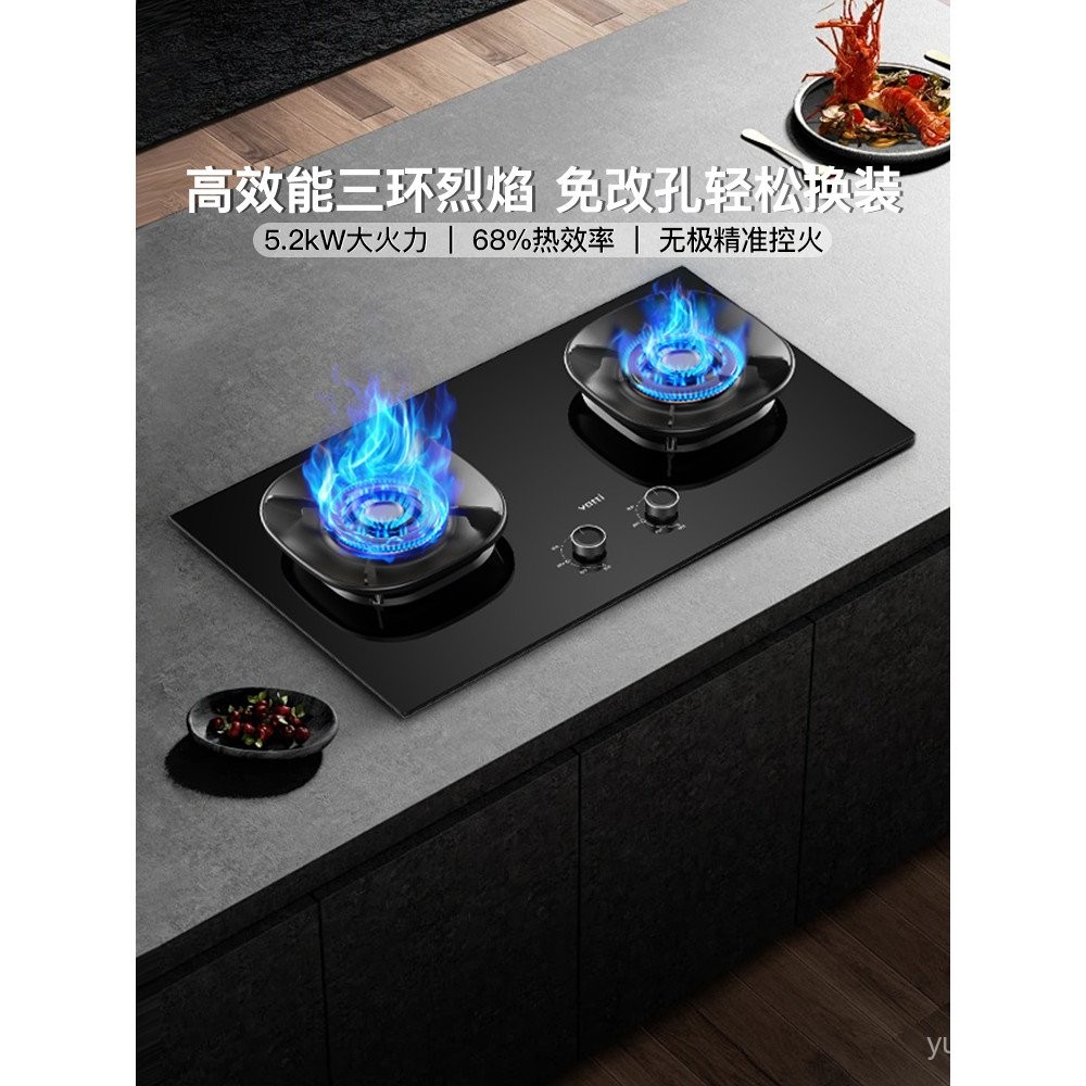 Huadi Gas Stove i10309 Household Kitchen Gas Stove Double Stove Natural ...