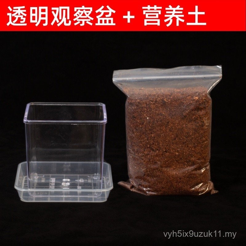 Transparent Transparent Flowerpot Nutritious Earth Square Pot Seed ...