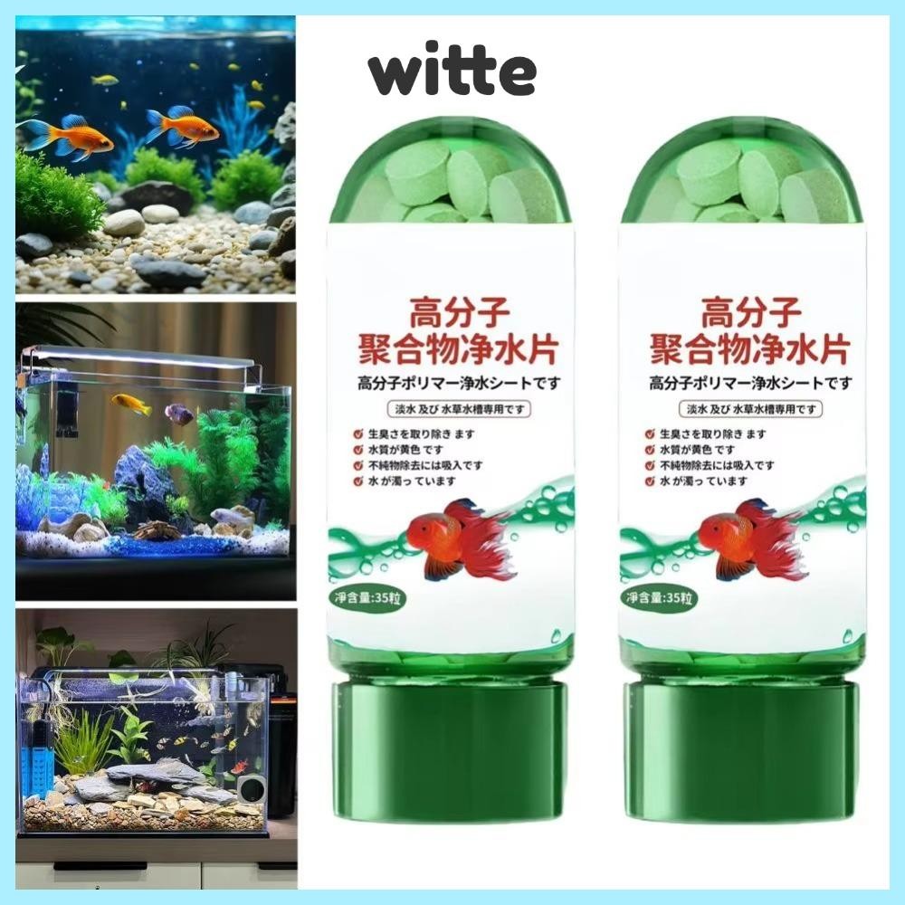 WITTE Cleaning Algae Tablets, Cleaning Odor Remover Water Purification ...