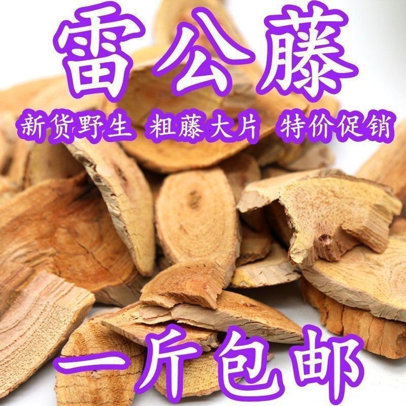 Search Baicao Wild Lei Gong Traditional Chinese Medicine Lei Gong Teng ...