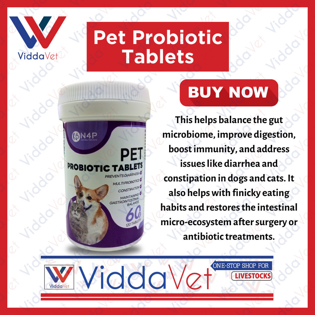viddavet N4P PET PROBIOTIC TABLETS 120 TABLETS Digestive Health Formula ...