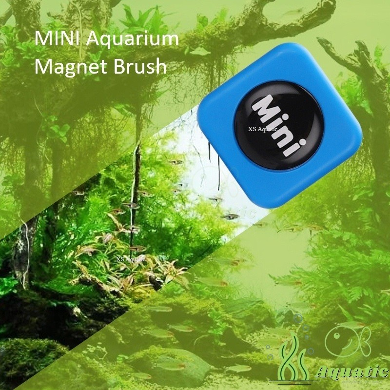 MINI Magnet Brush Aquarium Glass Cleaner Strong Magnetic Algae Magnet ...