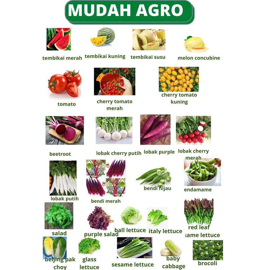 MUDAH AGRO wholesale Biji Benih / Vegetable Seed /FLOWER SEEDS /SAYUR ...