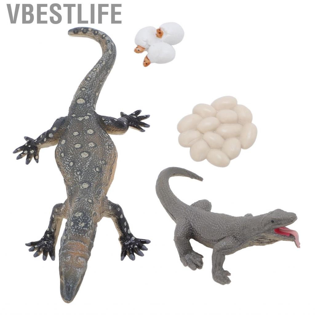 VBESTLIFE 4 Pcs Lizard Life Cycle Toy PVC Realistic Educational Reptile ...