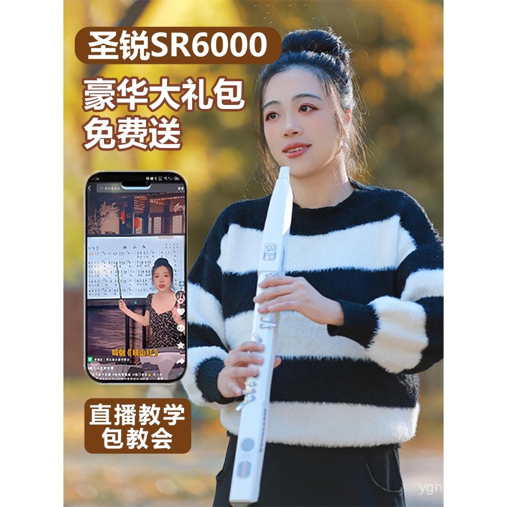 Shengrui SR6000 Hair Dryer Instrument Flagship Store Middle-aged Elderly Electronic Hair Dryer ...