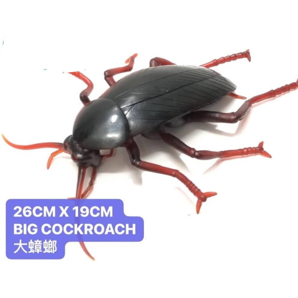 FAKE COCKROACH (26 cm x 19 cm) /COCKROACH TOY BIG SIZE / PRANK TOY ...