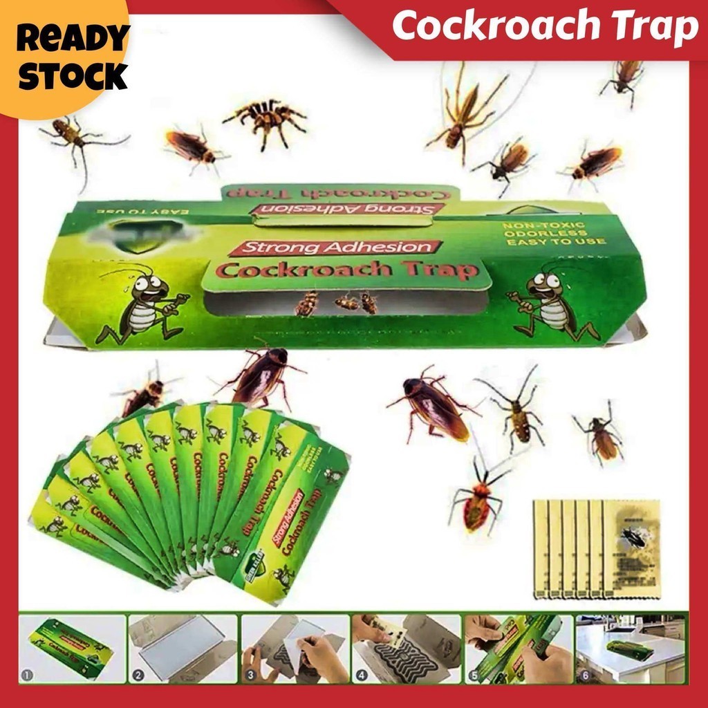 1 BOX 10 PCS Trap Lipas Cockroach Lizard Cicak Trap Perangkap Cockroach ...