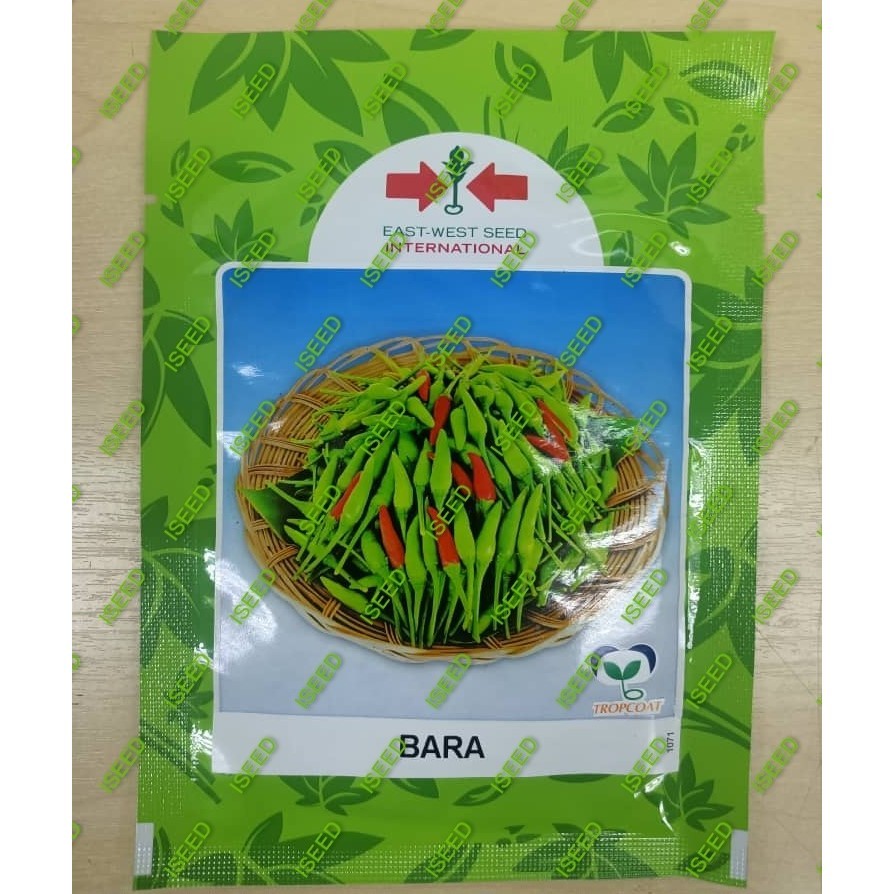East West Cili bara 20gm @ 6400 biji (Original) Cili Api Padi F1 Hybrid ...