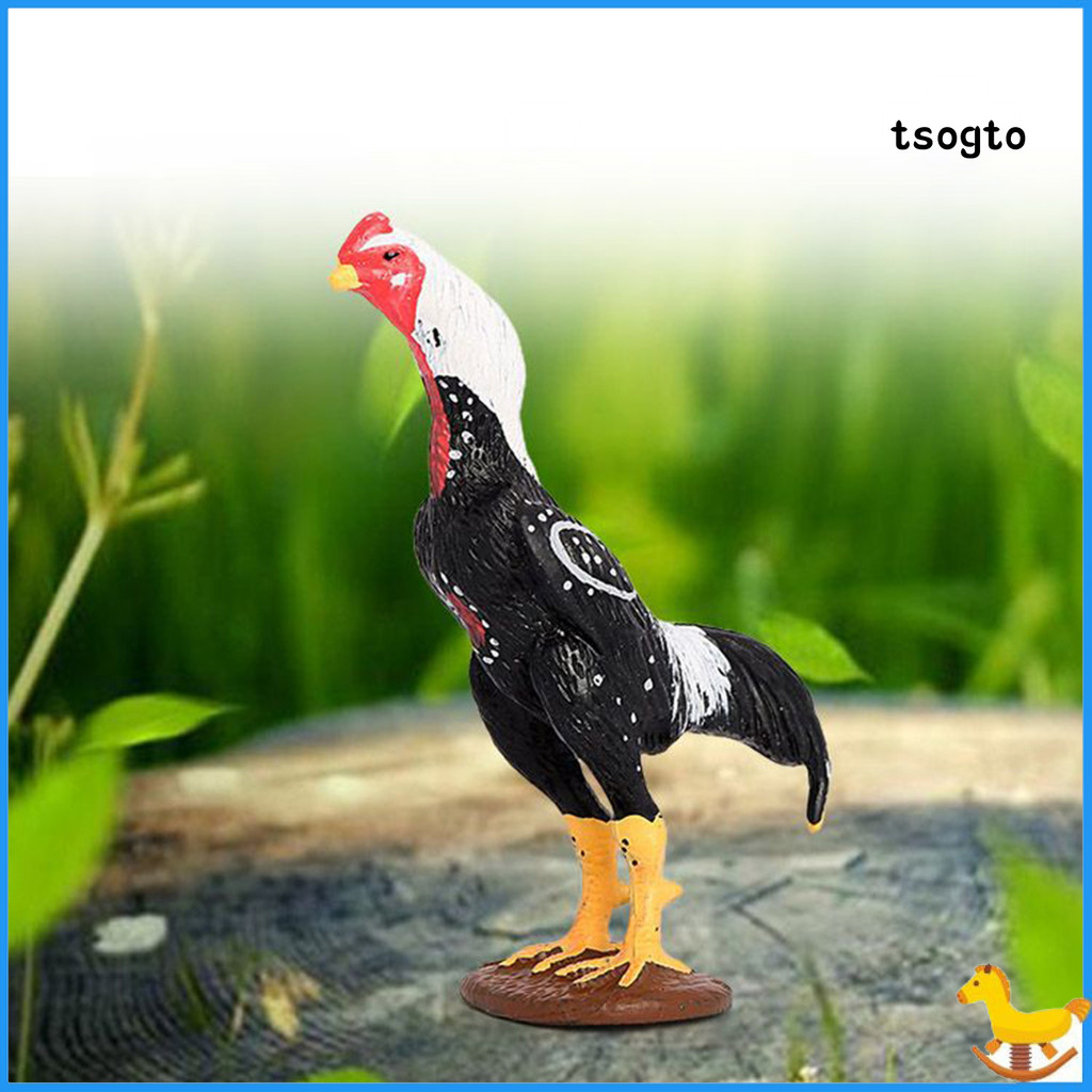 [Toto] Chicken Model Hand-painted Emulation Image Clear Texture Vibrant ...