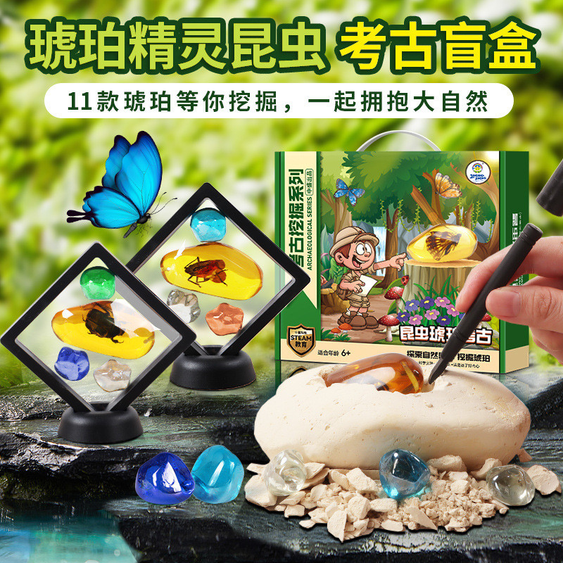 Children Archaeological Mystery Box Toys Digging Amber Insect Elf Gems ...