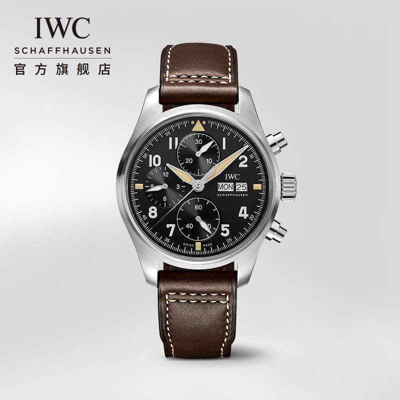 Iwc IWC Watch Official Flagship Charizard Aircraft Pilot Series ...