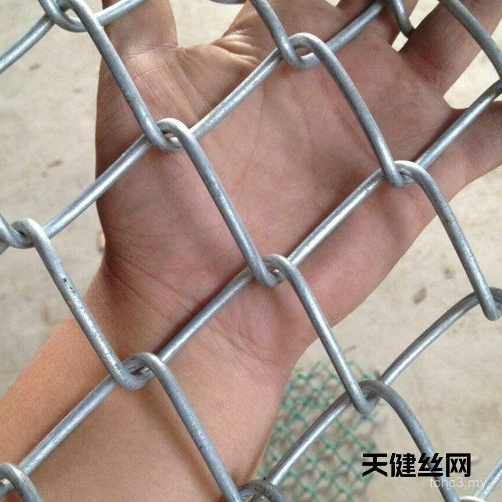 Hot Galvanized Fence Orchard Breeding Net Steel Wire Net Chicken ...