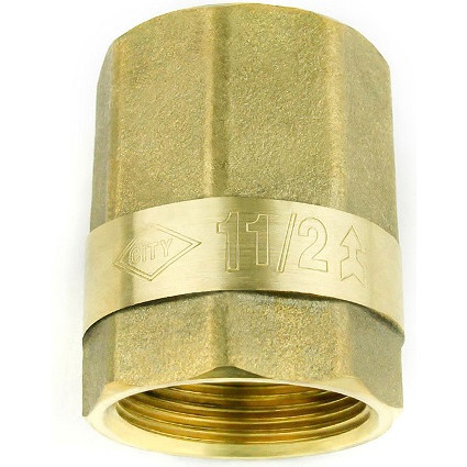 CITY 25mm (1") ~ 50mm (2") HEAVY DUTY BRASS SPRING CHECK VALVE | Shopee ...