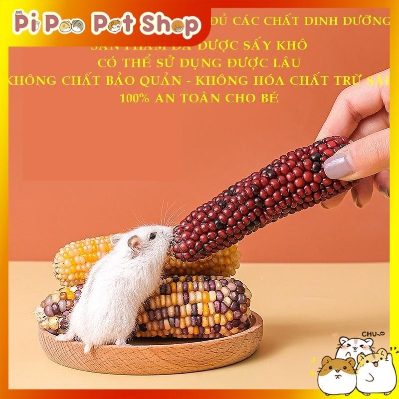 Baby corn sharpens teeth for hamsters, rabbits, bugs, squirrels and ...