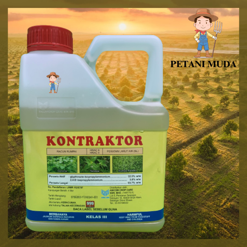 [ORIGINAL] 4L KONTRAKTOR ANCOM RACUN RUMPUT / EVO / LALANG / HERBICIDE ...