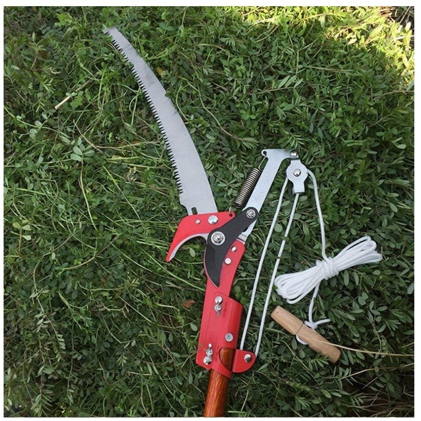 High Branch Scissors, High Tree Branch Pruning Scissors - Fruit Picking ...