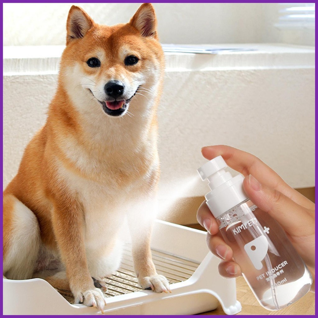 Dog Potty Training 100ml Dog Potty Attractant Behavior and ...