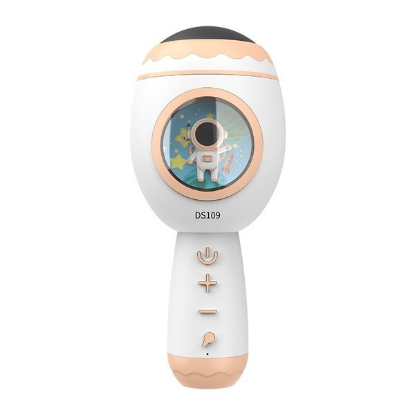 mic amgrass microphone wireless mic Cross-border Private Model DS109 ...