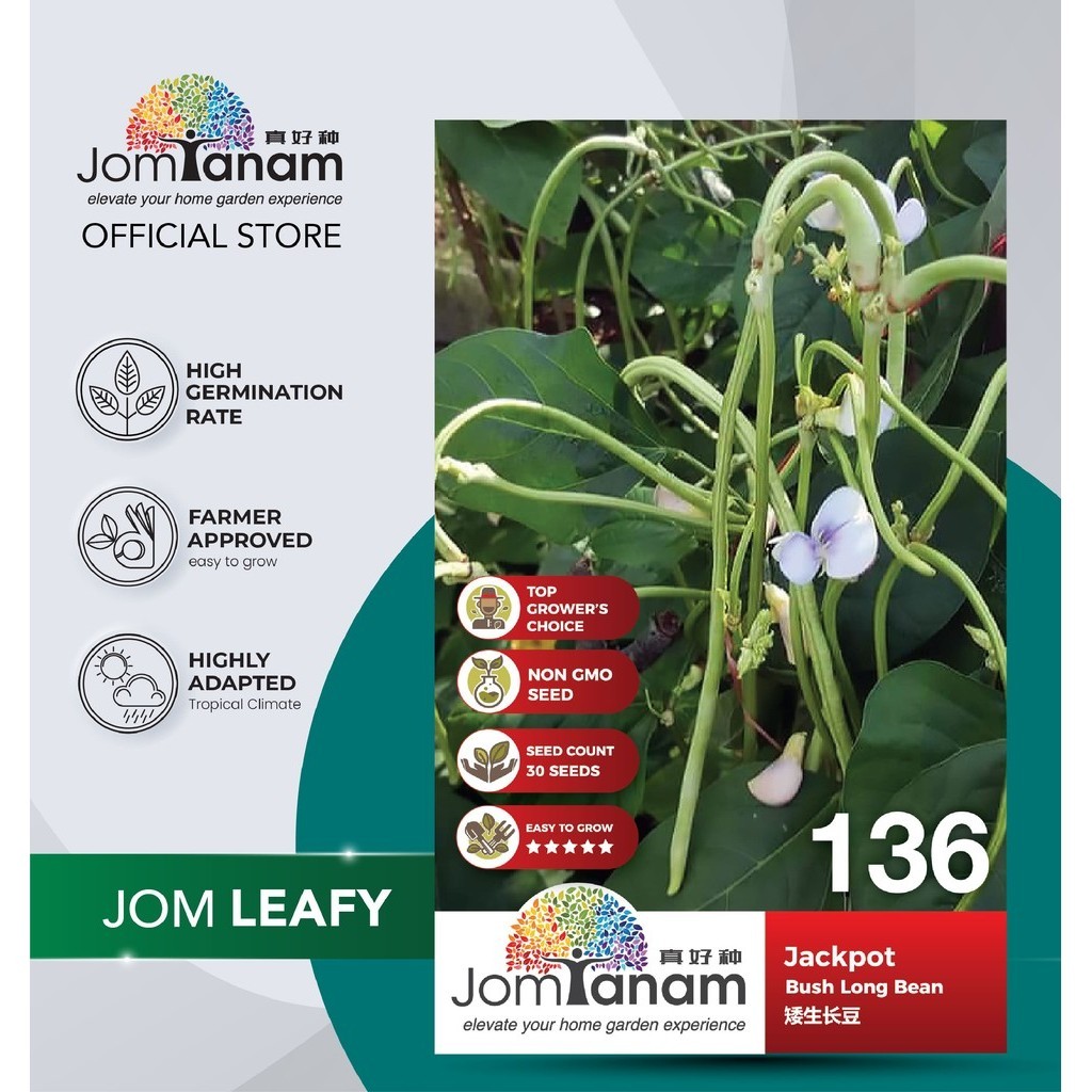 JOM TANAM Bush Long Bean Seed/Benih Kacang Panjang Renek/矮生长豆种子 Jackpot ...