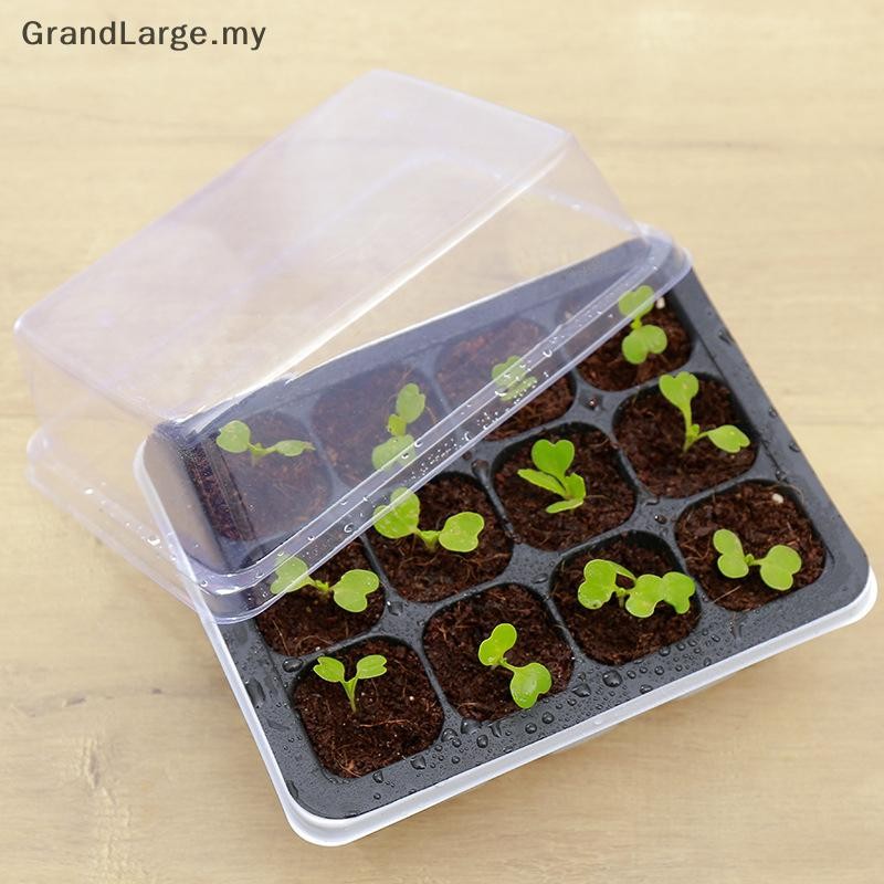 GrandLarge.my 6/12 Holes ling Pots Seedling Tray Garden Pots Durable ...