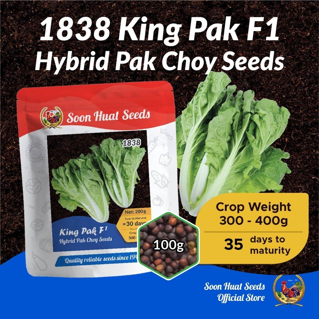 [100g] 1838 Benih Pak Choy King Pak Soon Huat Seeds | Shopee Malaysia