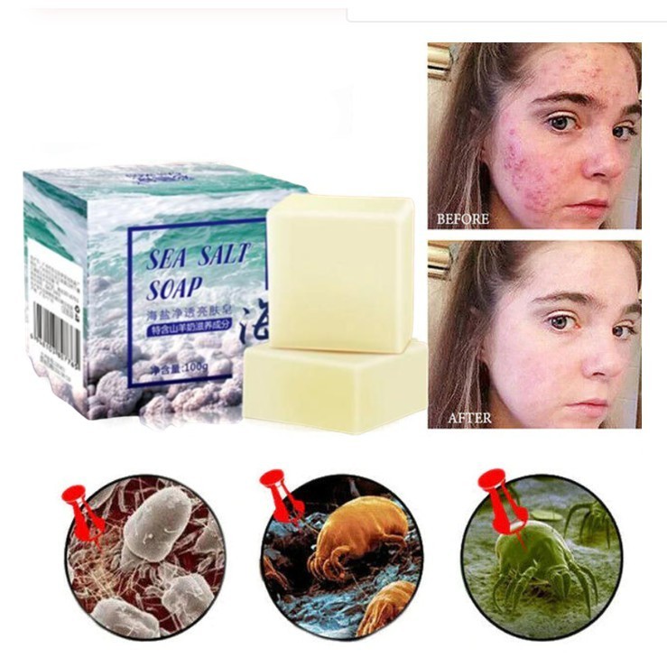 Epx04/2024 Goat's Milk Sea Salt Soap 100g Soothing Mite Essential Oil ...