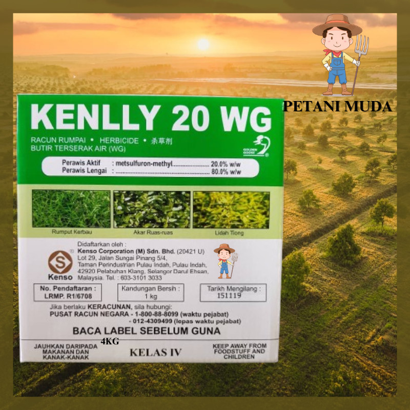 1KG KENLLY 20WG Kenso (Sama Ally)Anak Kayu/Anak Pokok/METSULFURON/Biji ...