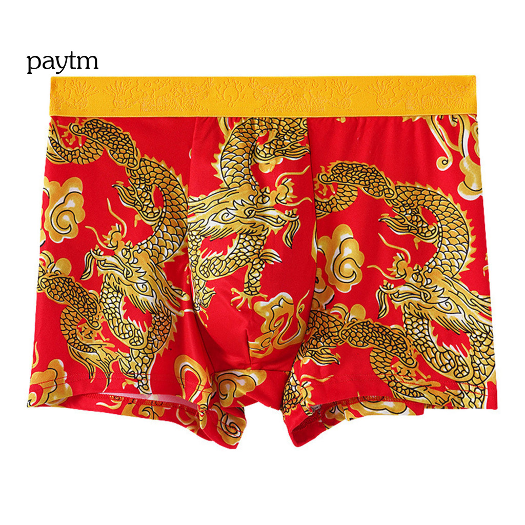 PTM Dragon Print Men Underwear Dragon Themed Men Underpants Dragon ...