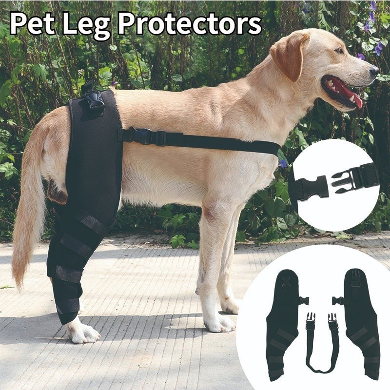 Pet Leg Protectors Dog Hind Leg Knee Protective Cover Pet Joint Injury ...