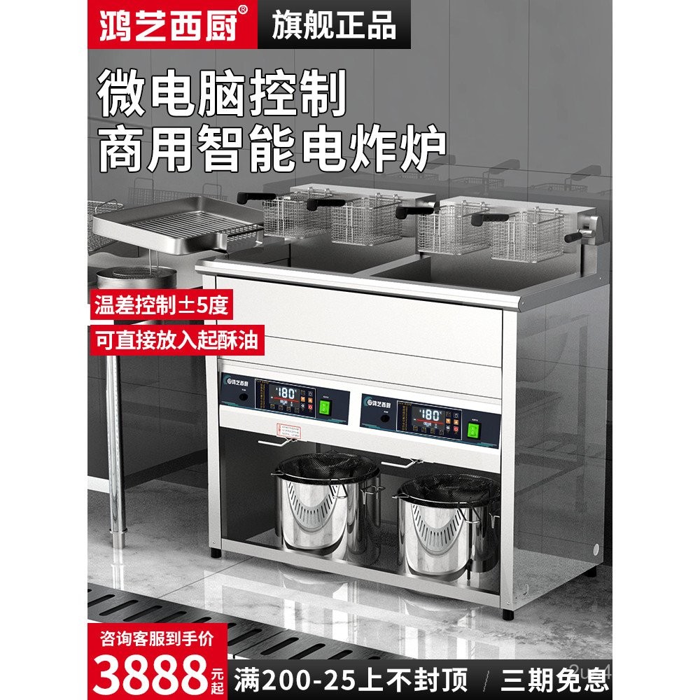 Hongyi Vertical Electric Fryer Commercial Electric Fryer Frying Chicken ...