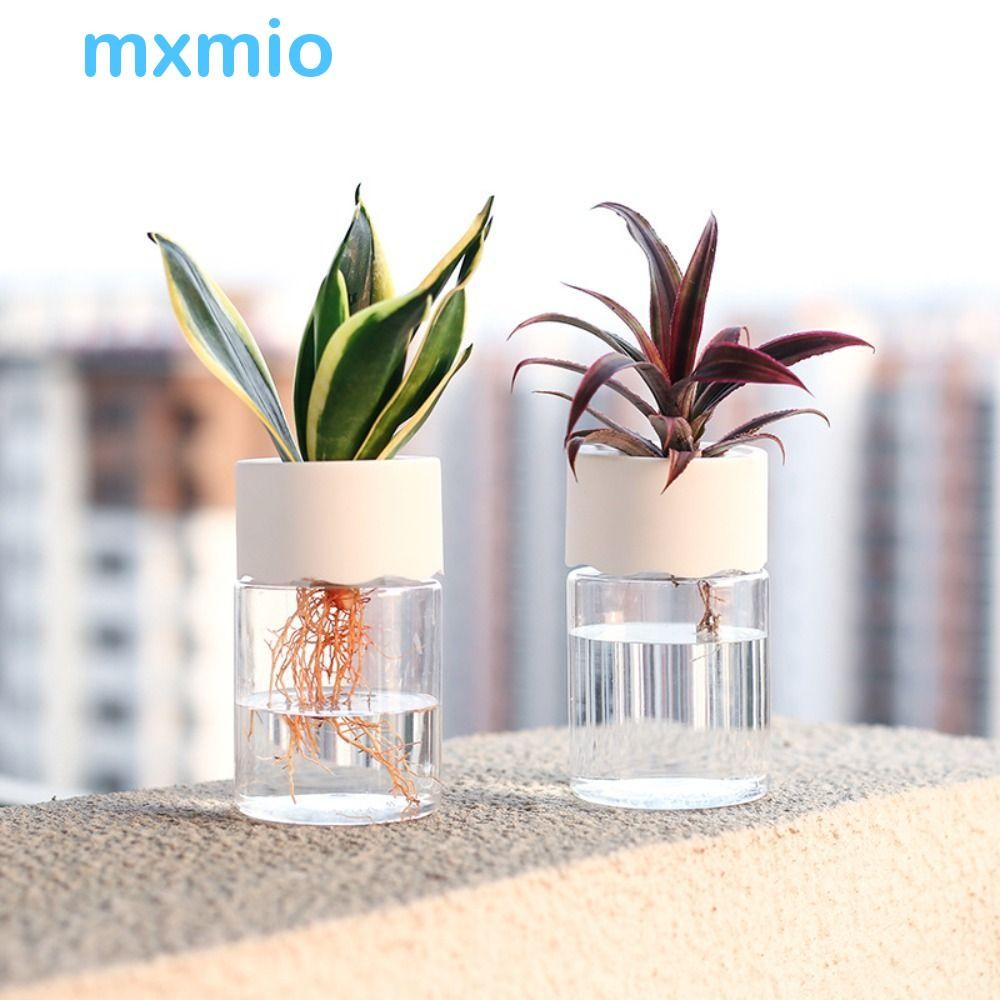 MXMIO Hydroponic Plant Pots, Plastic Transparent Hydroponic Flower Pot ...