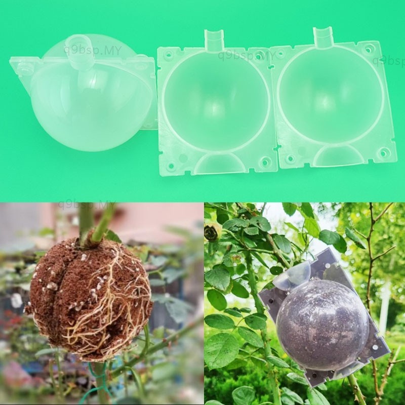 New 5cm Plant Rooting Ball Grafting Rooting Case fruit tree flower ...