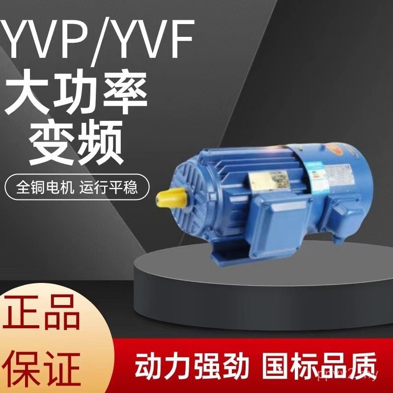 Yvp/yvf Frequency Conversion Motor Abnormal Step Motor Frequency ...