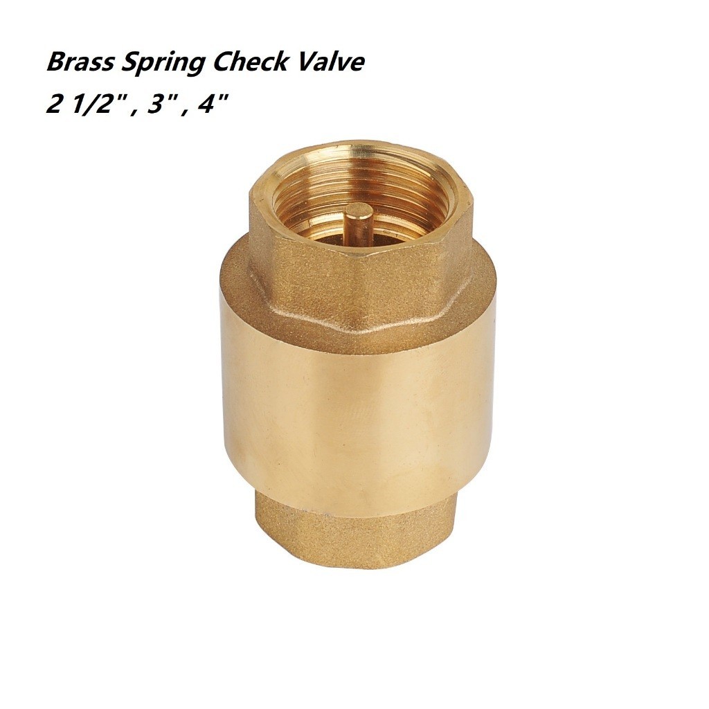 Brass Spring Check Valve Non Return Valve 1 Way Valve Periksa Injap 止回阀 ...
