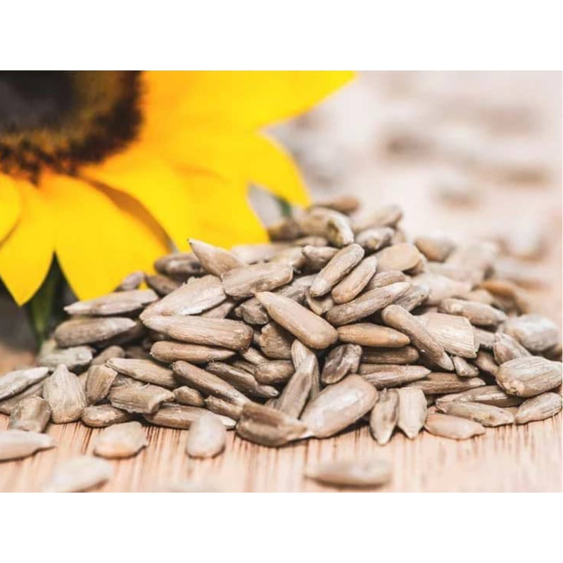 SUNFLOWER SEEDS KERNEL | BIJI BUNGA MATAHARI | 向日葵仁 (2689) | Shopee ...