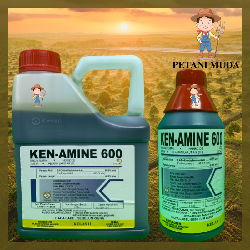 [ORIGINAL] 1L 4L KEN-AMINE 600 Racun Rumput/RACUN RUMPAI/Racun Serap ...