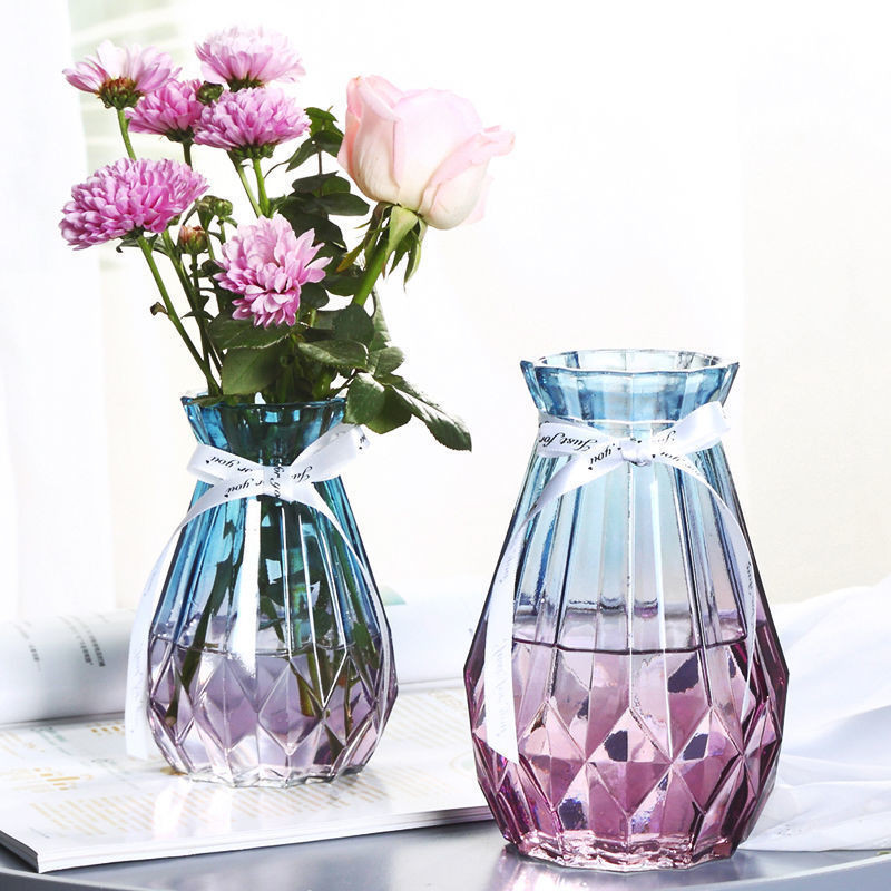 Pasu Kaca Kreatif Gaya Eropah Telus Hidroponik Tanaman Lobak Hijau Pasu ...