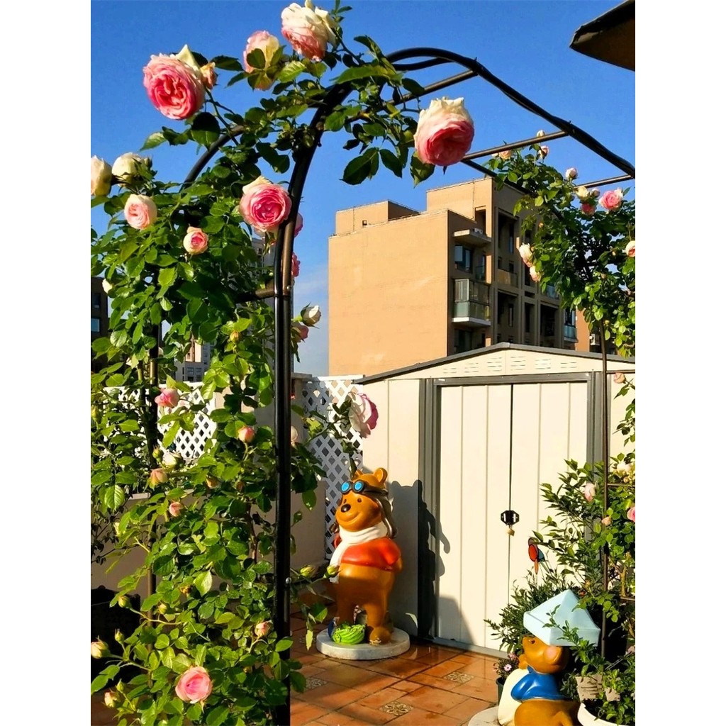 Gerbang Besi Tempa Bunga Stand Memanjat Rak Anggur Anggur Rak Anggur ...