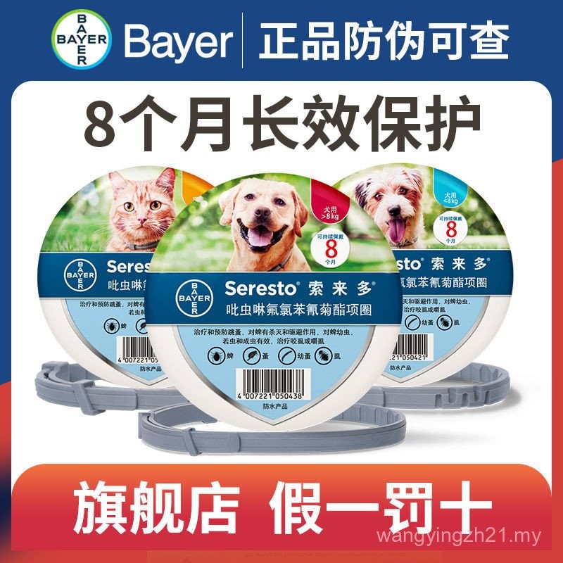 [Authentic Product of China] Bayer Solaiduo Insect Repellent Collar Pet ...