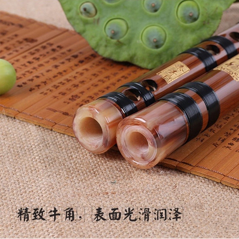 Bamboo Flute Seruling Buluh Dizi Soprano Plastic Recorder with Cleaning ...