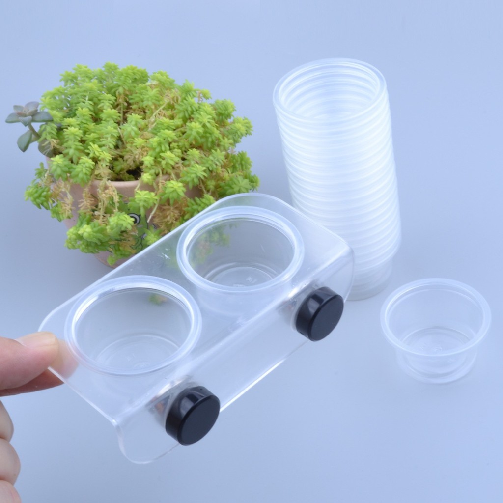 Magnetic Reptile Water Feeder Feeder Gecko Wall Rack Gecko Lizard ...