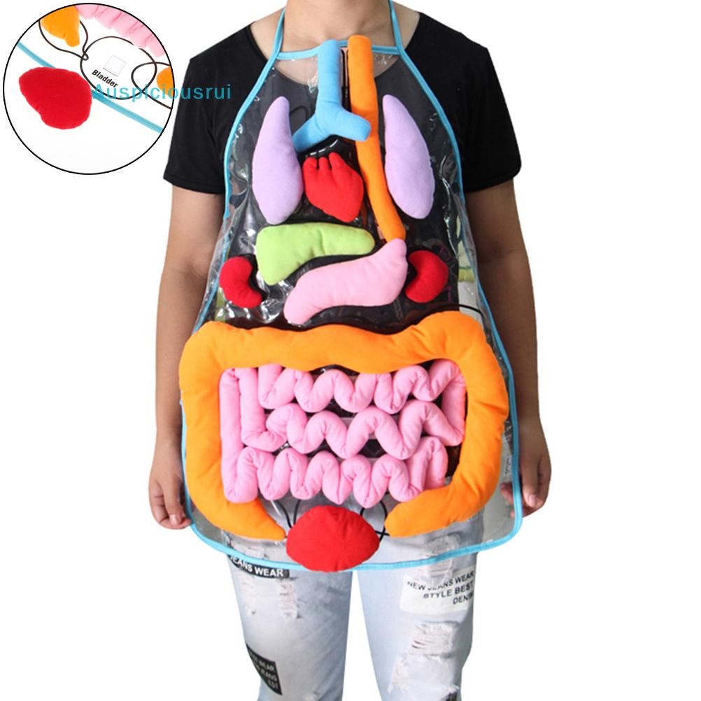 Auspiciousrui Anatomy apron human body organs awareness educational ...