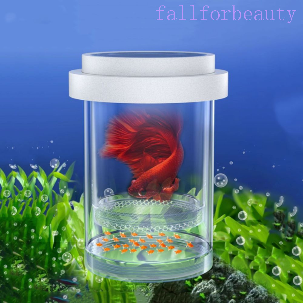 FALLFORBEAUTY Floating Hatching Box, Single Layer Plastic Fish Breeding ...