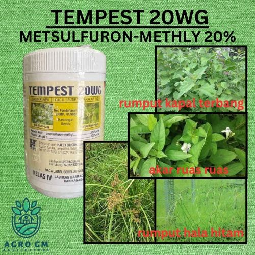 50GM HALEX TEMPEST 20WG (sama dengan Alai/Ally) Akar Ruas-ruas/Rumput ...