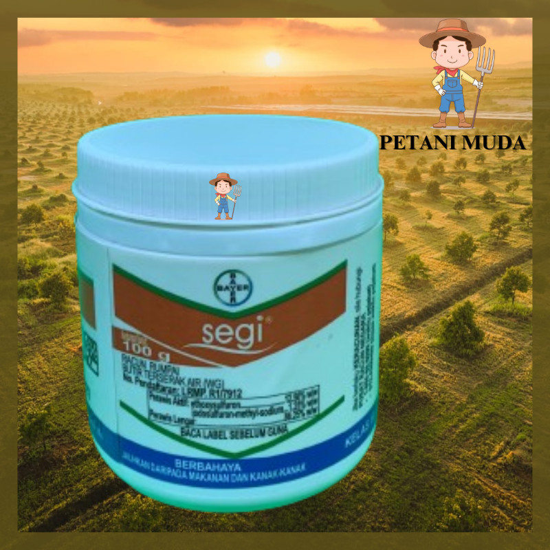 [ORIGINAL] 100g SEGI BAYER RACUN RUMPUT Ethoxysulfuron 12.5% Sama ...