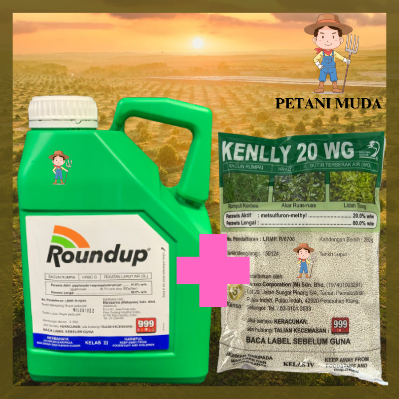 4L Roundup+ 250G KENLLY 20WG (1 SET PACKAGE) RACUN RUMPUT KEMATIAN ...