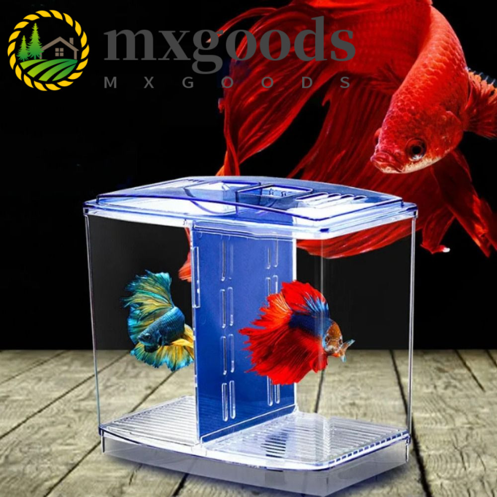 MXGOODS Betta Fish Tank, Transparent Single/Double Grid Double-grid ...